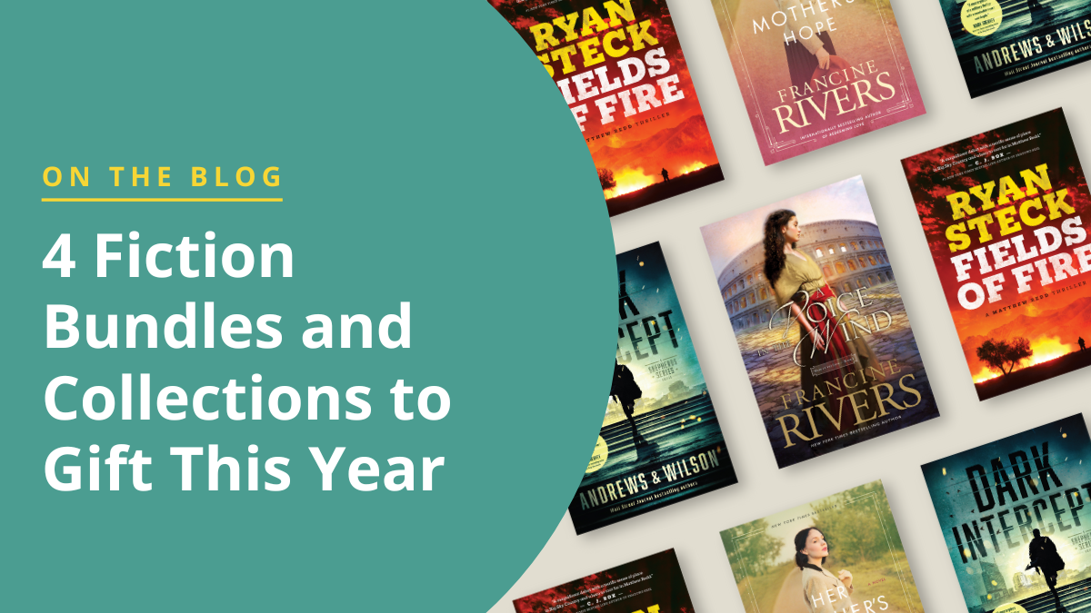 4 Fiction Bundles and Collections to Gift This Year | Crazy4Fiction