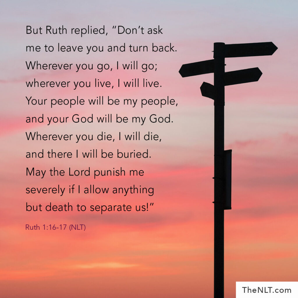 Finding Family – New Living Translation