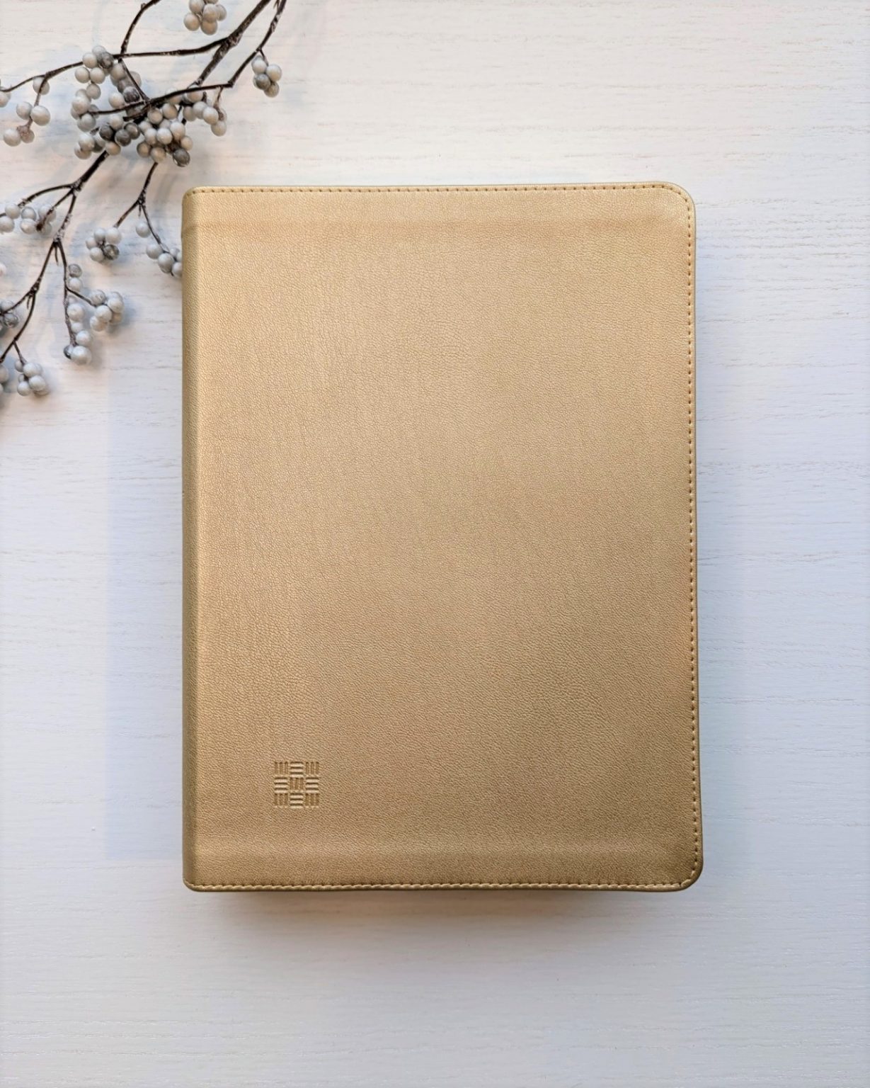 New Women’s Study Bible Coming in Early 2024 and Other New Releases ...