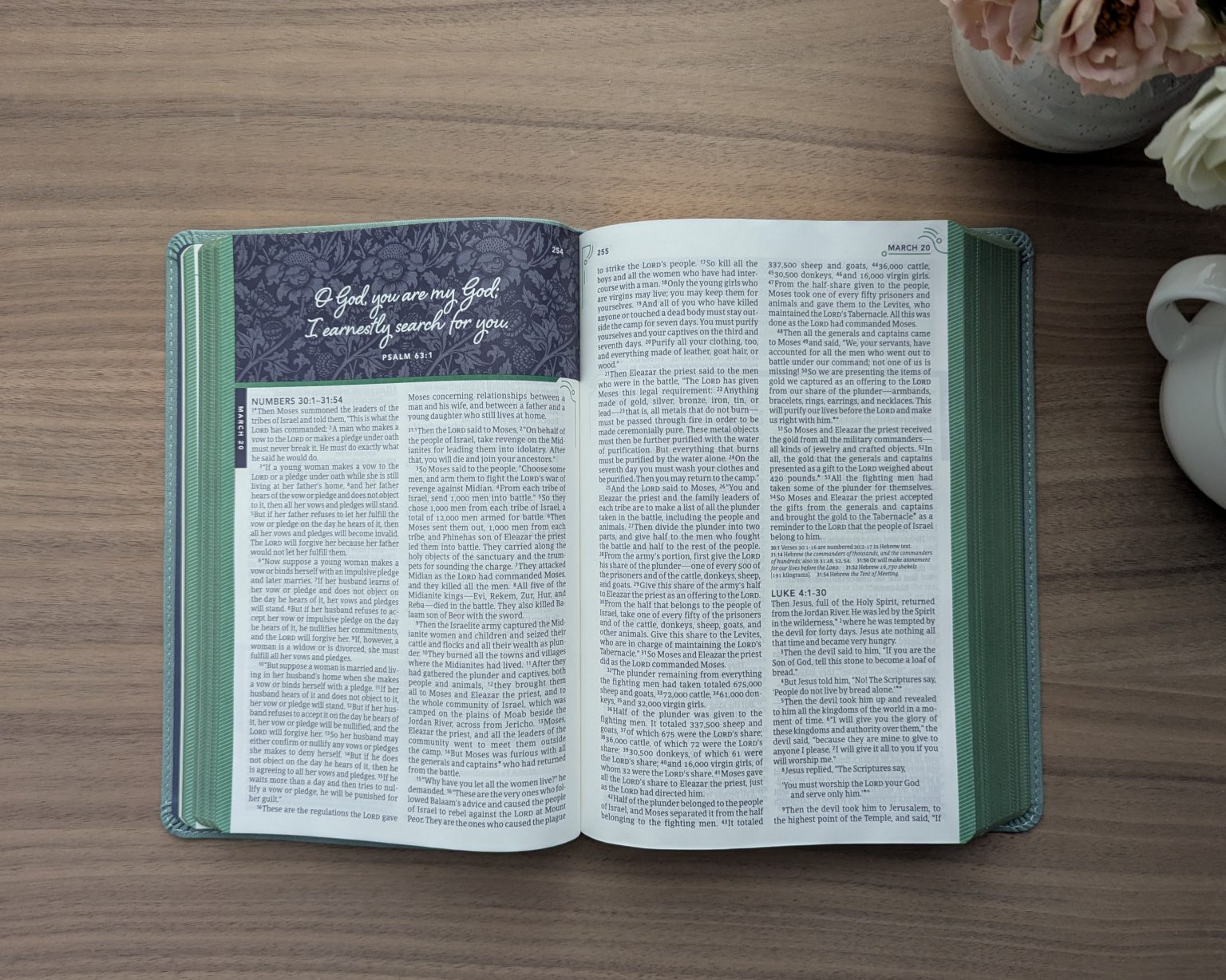 Get a Peek at What’s Coming This Fall! – Tyndale Bibles